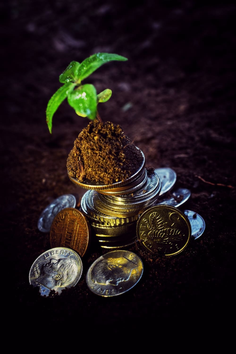 Strategies for Sustainable Equitable Economic Growth: Sunrise Andhra ...